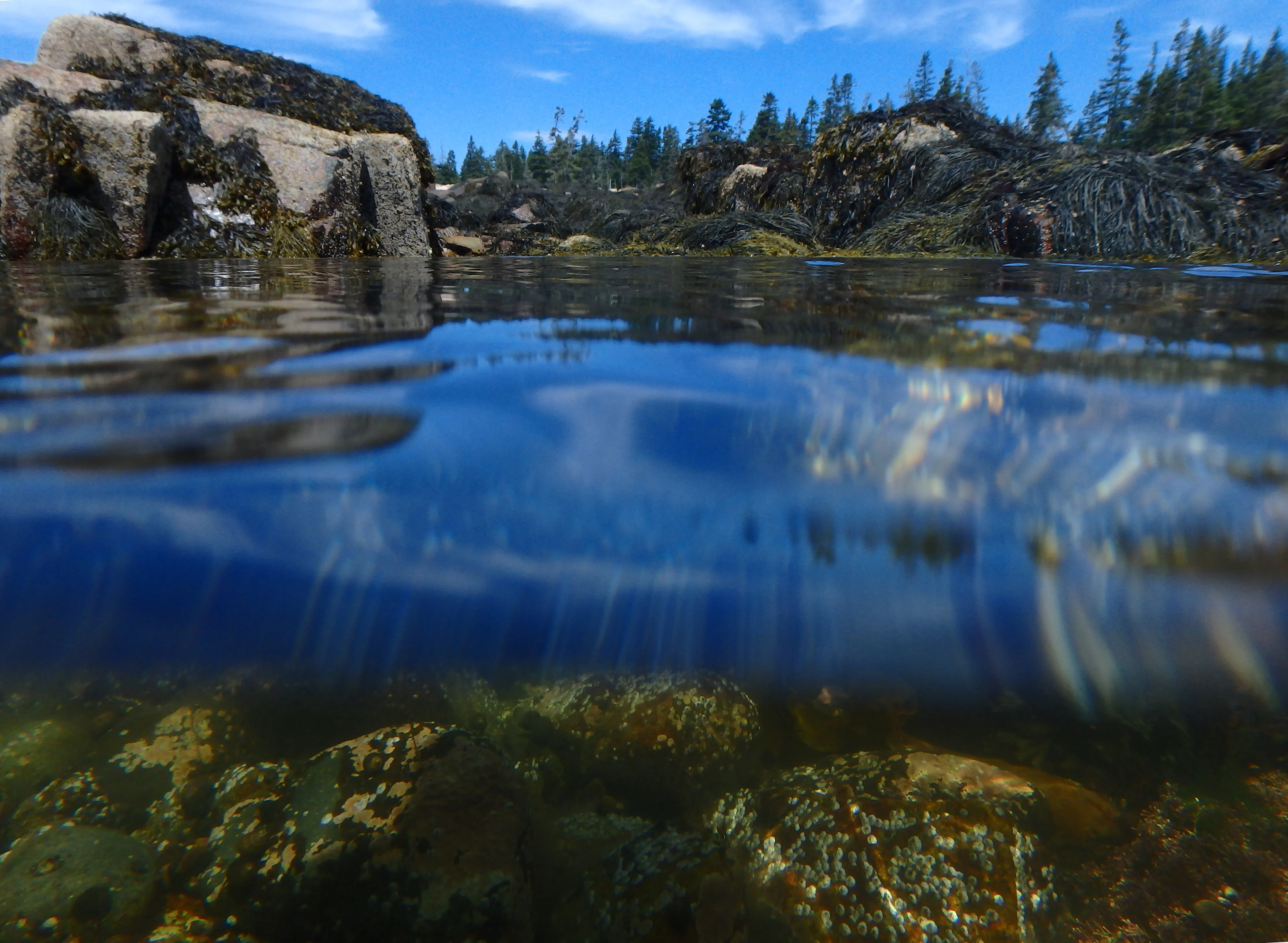 Ultimate Guide to Tide Schedule for Fishing Acadia: When, Where & How ...