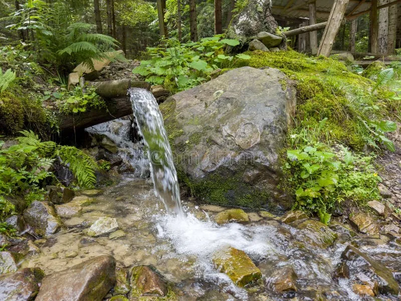 Top Rated Spring Water: Complete Guide to the Best Premium Bottled ...